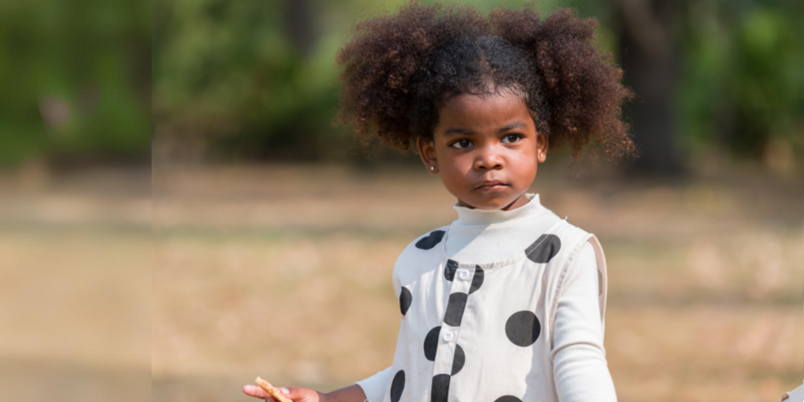 Roots Of Ziah Hair Care – Roots Of Ziah LLC